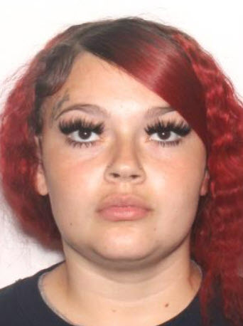 Florida Missing Person Flyer